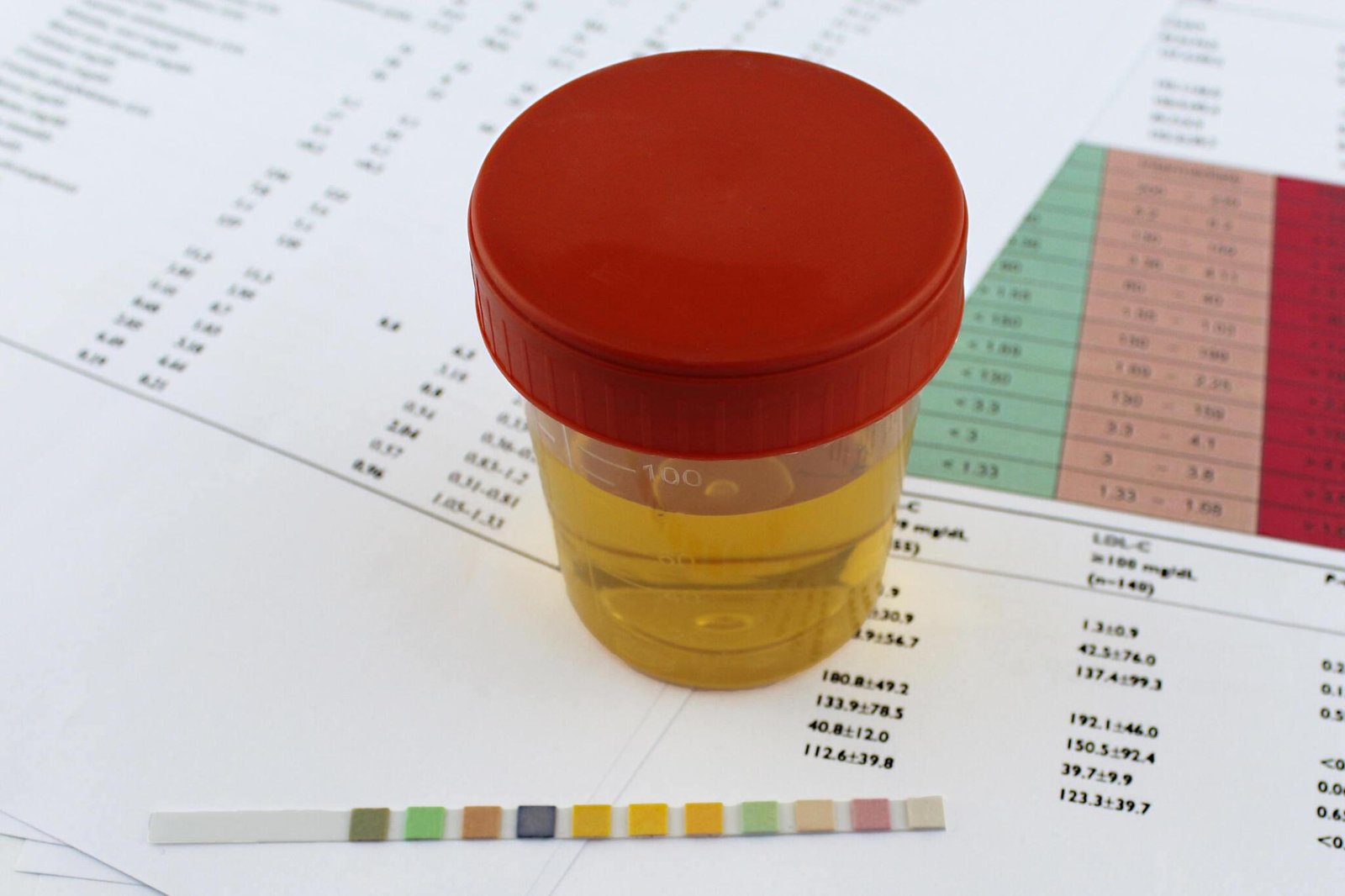 Does Synthetic Urine Work in Drug Tests?