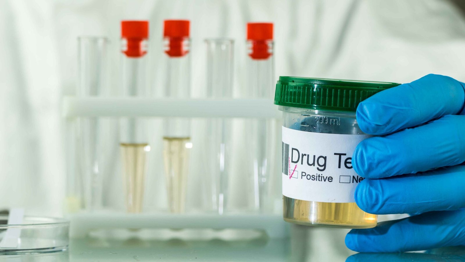 How Do I Know If I Passed My Drug Test? 8 Clear Signs